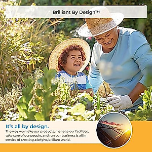 Suncast BMSASHELFH1 Shed Shelf Kit, No Size, Black