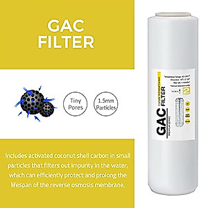 iSpring FG15US Premium Universal High Capacity GAC Granular Activated Carbon Filter Replacement Cartridge for Reverse Osmosis RO and Under Sink Water Filtration Systems, 10" x 2.5", Made in USA