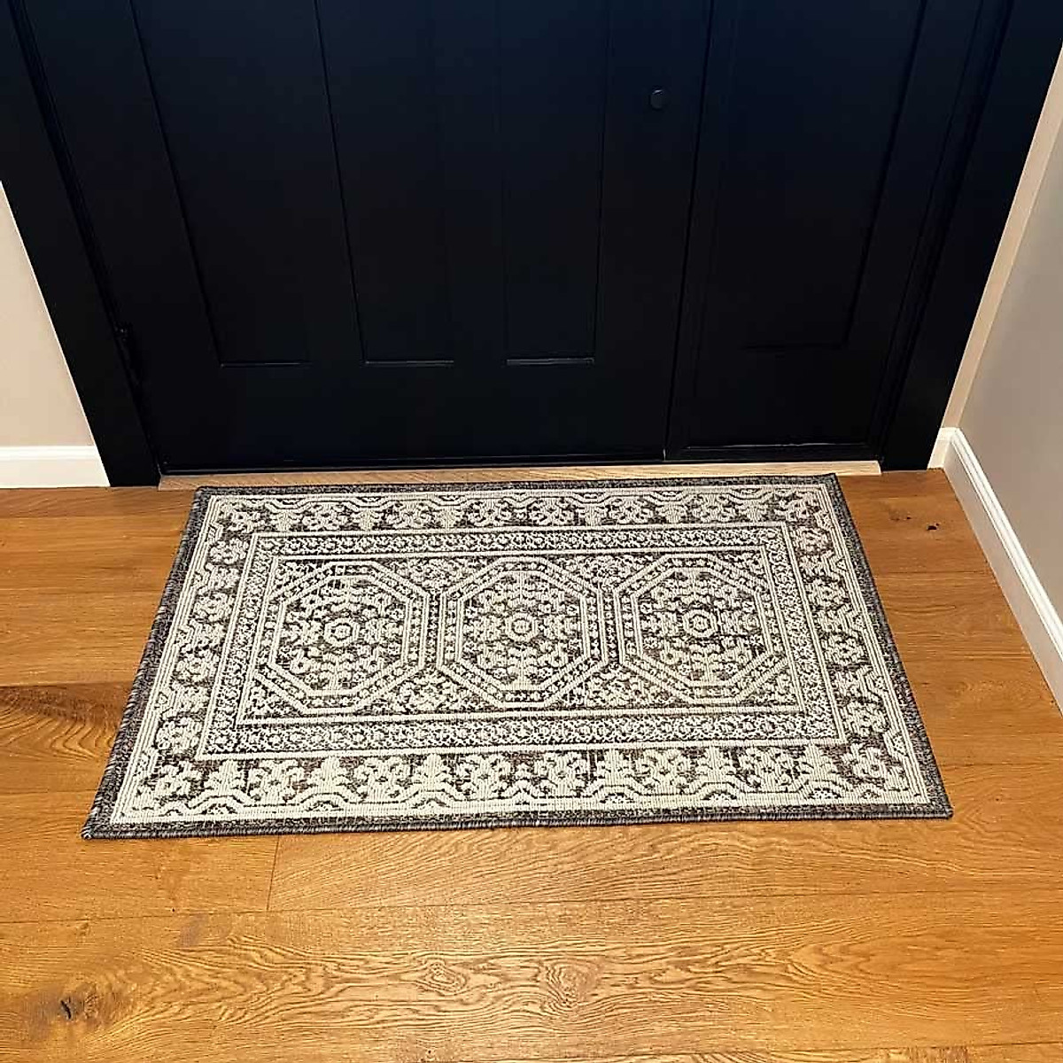 Pilgrim Home and Hearth 19653-1 Area Rugs, 46" x 28", Beautiful
