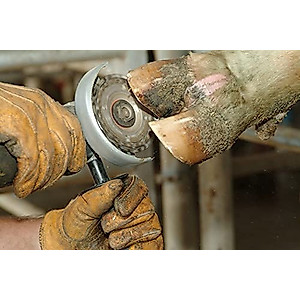 Complete Dairy Cow Hoof Care/Trimmer Set 110v US