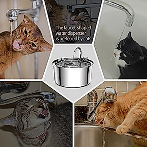 Tomxcute Cat Water Fountain, 3.2L/108oz Automatic Stainless Steel Pet Fountain Dog Water Dispenser, Ultra-Quiet Pump and 3 Replacement Filters & for Cats, Dogs, Multiple Pets