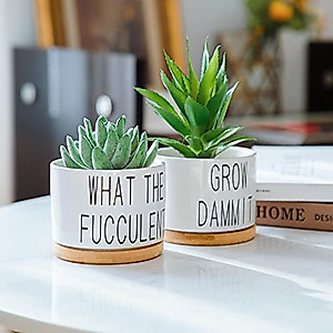 Succulent Pots, Popvip 3.15 Inch Ceramic Funny Planter Pots with Bamboo Tray, Housewarming Gift for Women, Best Friend, Daughter, Mom, Coworker, Pack of 2 - Plants Not Included (A)