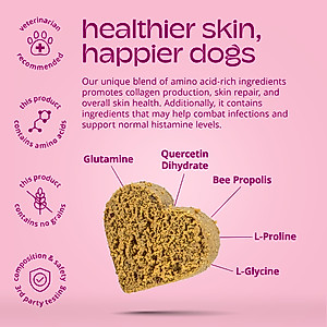 Vitail Skin Health & Seasonal Allergy Dog Chews | Quercetin, Omega-3, Bee Propolis, L-Proline, L-Glycine | Supports Collagen Production, Soothes Itchy Skin & Promotes Skin Health | 90 Soft Chews