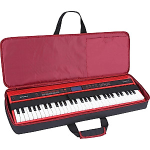 Roland Piano or Keyboard Case (CB-GO61KP)