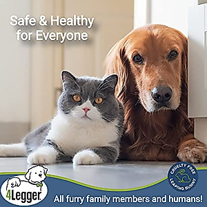 4Legger Organic Dog Shampoo USDA Certified Organic Aloe Vera, Lemongrass, Coconut Oil, All Natural Dog Shampoo, Dog Shampoo Sensitive Skin, Dog Shampoo for Itchy Skin 16 oz