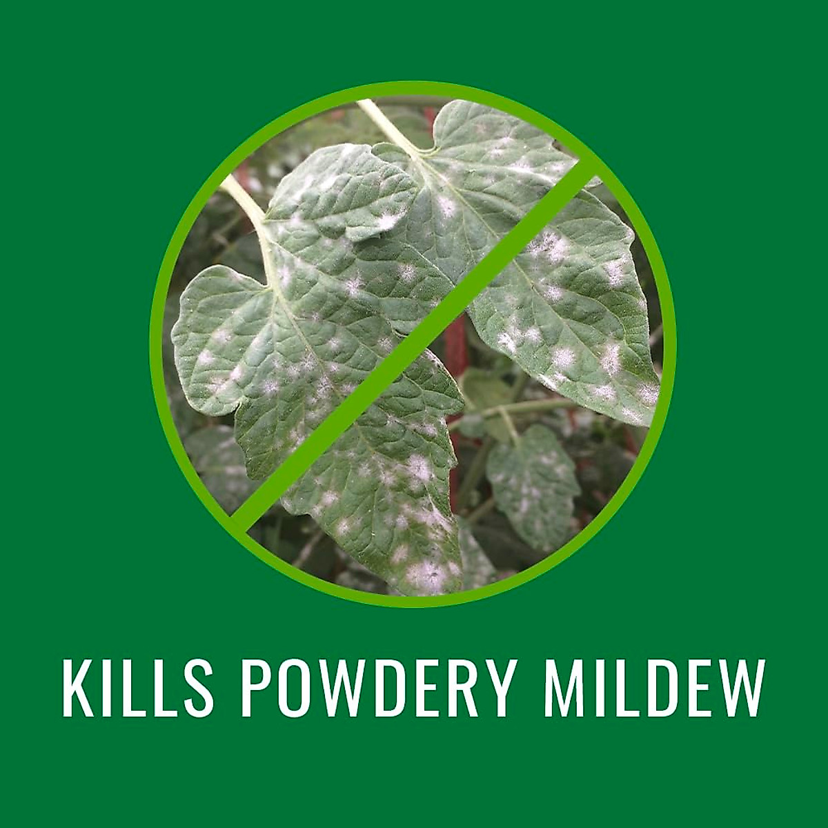 Natria Houseplant Insect Killer, Ready-to-Use, 24 oz