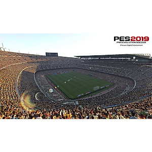 Pro Evolution Soccer 2019 - PlayStation 4 Standard Edition
