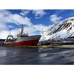 Icelandic+ Large Cod Skin 2" Cube Dog Treat