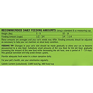 Purina Cat Chow Indoor Dry Cat Food, Hairball + Healthy Weight - 6.3 lb. Bag