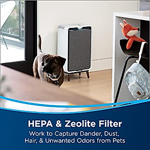 BISSELL air320 Air Purifier Replacement Pet Pro Filter Pack, 3170,Black