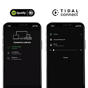 Wiim Mini Airplay 2 Music Streamer, WiFi & Bluetooth Multiroom/Multizone Audio Receiver Within Spotify/Tidal Connect & 192khz/24bit Hi-Res Audio, Works with Siri & Alexa Voice Assistant.