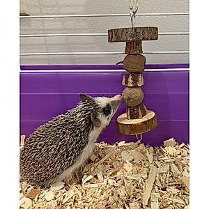 Exotic Nutrition Chew Assortment - Healthy Natural Variety Pack Chew Treat Toys - for Chinchillas, Guinea Pigs, Hamsters, Rabbits, Degus, Prairie Dogs & Other Small Pets