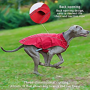 FamilyQL Dog Coat Water-Resistant Windproof with Reflective Trim Dog Jacket Warm Fleece Lined Anti-Tear Adjustable Outdoor Dog Clothes for Small Medium Large and Extra Large Dogs (Grey, Medium)