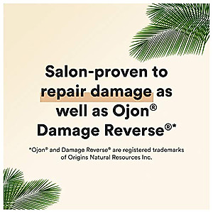 Suave Professionals Damage Repair Shampoo for Normal to Damaged Hair Coconut Oil Infusion Dry Hair Shampoo with Pure Coconut Oil 28 oz