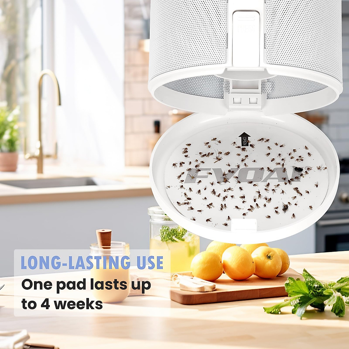 FVOAI Sticky Glue Board for Zap T3 H3 M3 Pro Fly Traps(Pack of 10)
