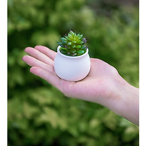 Dahey Mini Macrame Plant Car Accessories Rear View Mirrior Charm Cute Hanging Rearview Car Decor Boho Hanger with Artificial Succulent for Plant Lover, 2 Pcs, 10.5 inch, White