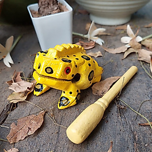 Cozinest 3" Wooden Frog Guiro Rasp Percussion Instruments Tone Block Thailand Craft Wood Frog Musical Instrument Adorable Gift (Yellow Dots)