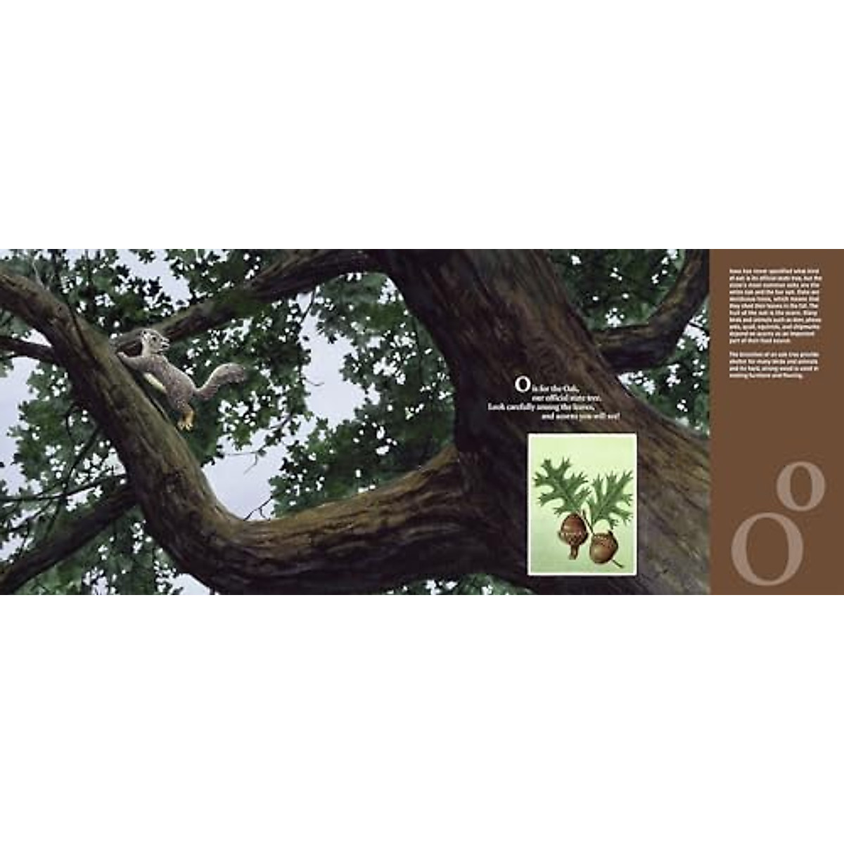 H is for Hawkeye: An Iowa Alphabet (Discover America State by State)