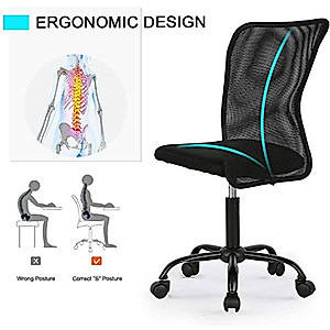 Office Chair Desk Chair Computer Chair with Lumbar Support Ergonomic Mid Back Mesh Adjustable Height Swivel Chair Armless Modern Task Executive Chair for Women Men Adult, Black