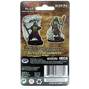 WizKids D&D Nolzurs Marvelous Unpainted Miniatures: Wave 5: Water Genasi Male Druid