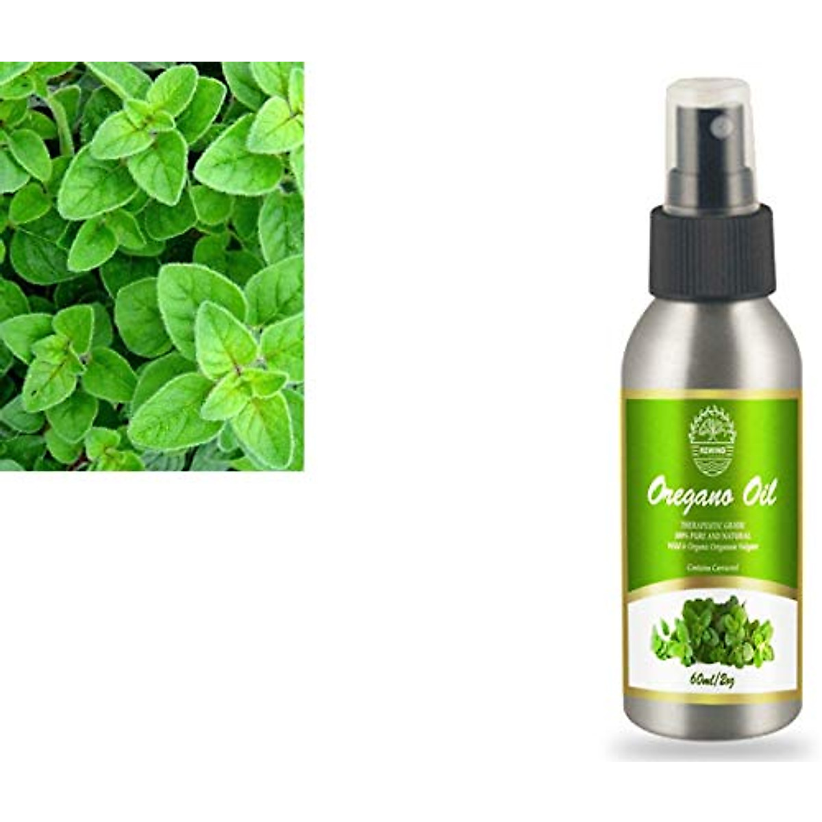 Essential Oil of Oregano - New Atomizer 2Oz Large 100% Pure Undiluted, Non GMO, Oregano Oil - Best Carvacrol