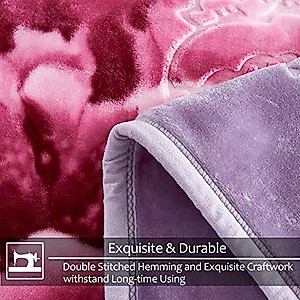JYK Soft Blanket Heavy Korean Mink Blanket, 5 LB Fleece Blanket - 2 Ply Reversible 520GSM Silky Soft Plush Warm Blanket for Autumn Winter (Queen, Peony/Peony)