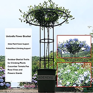 Garden Obelisk Trellis for Climbing Plants,3ft 4ft 5ft 5.9ft 6.9ft Tall Vertical Metal Umbrella Trellis Tower Frame Outdoor Flower Support Cage Climbing Stand Rack for Vines Rose (Size : 180cm/5.9ft