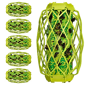 Carpenter Bee Trap 6 Pack
