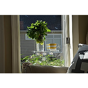 LaBrinx Designs Medium Suction Cup Shelf - Live Plants, Windows, and Bathrooms