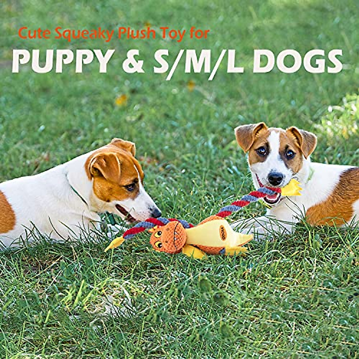 GOOLA Dog Squeaky Toys, Cute Dragon Interactive Plush Stuffed Toy with 5 Squeakers and Crinkle Paper,Pet Rope Chew Toy for Puppy Small Medium Large Breed Dogs