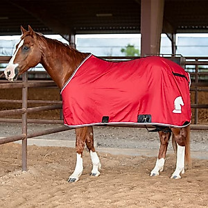 Classic Equine Classic Stable Sheet with Closed Front, Chili Pepper, Large