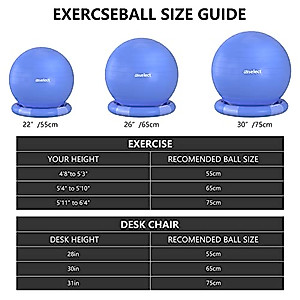 HBselect Exercise Ball Chair &Anti-Slip Stability Base & Resistance Bands, Extra Thick Anti Burst Swiss Gym Ball for Yoga, Pilates, Birthing Pregnancy