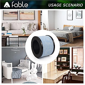 H13 Premium True HEPA Filter, DH-JH01 Upgrade HEPA Filter Replacement for Aroeve MK01 MK06, Pomoron and Kloudi DH-JH01, Intelabe EPI080/EP1080 & Elechomes EPI081/EP1081, 2 Pack