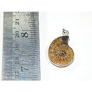 XUETZALCOATL Golden Shaligram Locket Energized 1 Pcs