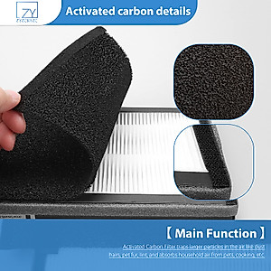 2 Pack NEA-F1 Post Filters and 10 Pack NEA-C1 Activated Carbon Pre Filters, Compatible with Eureka NEA120 and Toshiba CAF-W36USW