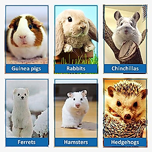 Fhiny 2 PCS Guinea Pig Cage Liner, Washable Guinea Pig Bedding Reusable Small Animal Pee Pads Waterproof Bedding Liners for Rabbit Ferret Chinchilla Kitten Puppy (Medium - 27.5'' x 19.6'' - 2 Pack)