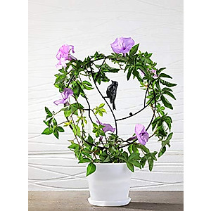 16.3" Tall Garden Trellis for Climbing Plants, Rust-Proof Iron Trellis for Indoor Potted Plants, Bird Round Circle Trellis, Metal Vine Plant Support Trellis for Vines Hoya Houseplants Ivy Flowers