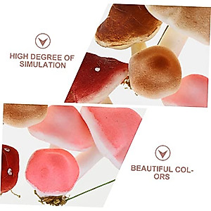 Homoyoyo 12 pcs Simulated Mushroom Fairy Gardens Bonsai Mushroom Decor Mini Mushroom Figurines Miniature Garden Ornaments Dollhouse Garden Decor DIY Terrarium Ornaments Appendix Cake Foam