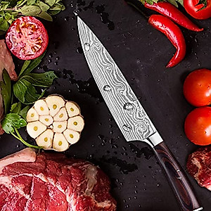 SANDEWILY Professional Kitchen Knives High Carbon Stainless Steel Chef Knife Set,3PCS Ultra Sharp Japanese Knife with Sheath,Ergonomic Pakkawood Handle Elegant Gift Box for Home or Restaurant