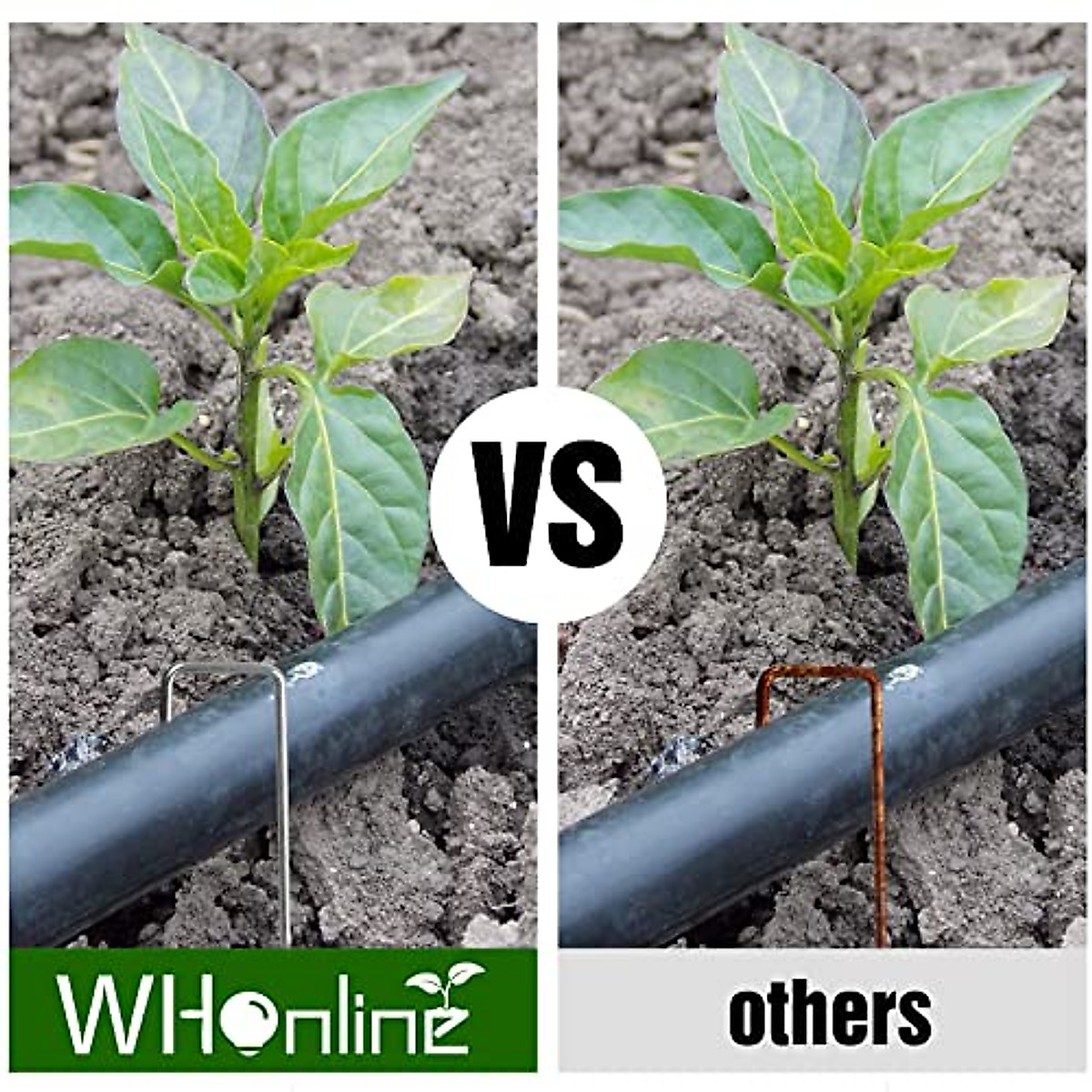 Whonline 60pcs 12 Inch Ground Stakes, 11 Gauge Landscape Staples Heavy Duty Garden Stakes for Securing Lawn Fabric, Tent, Weed Barrier, Irrigation Tubing