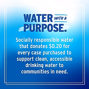 Talking Rain AQA Alkaline Ionized Bottled Water, 9.5 pH, with Electrolytes and Minerals Added for Taste, 20 fl oz Bottle (Pack of 12)