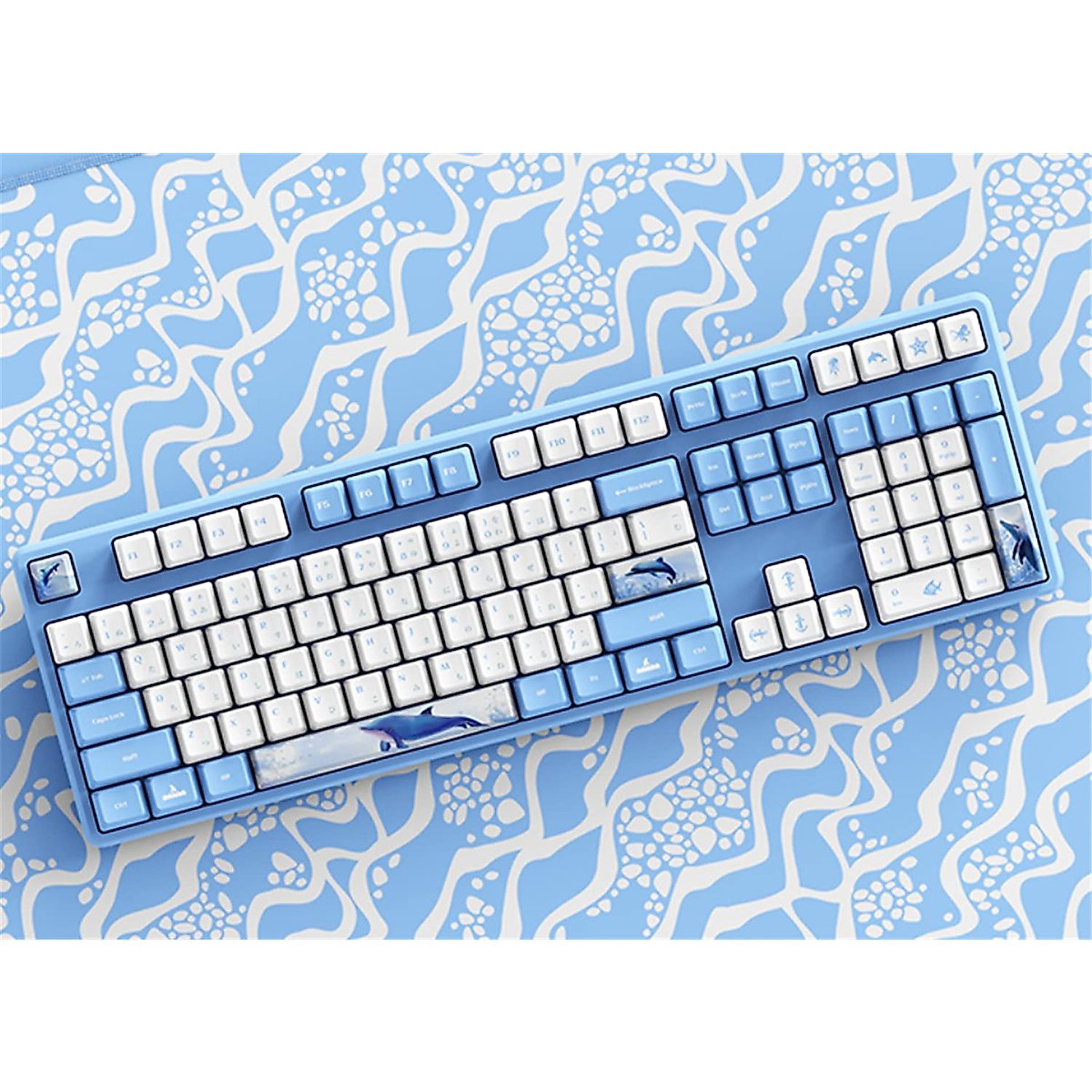 DAGK 4 Keycap Set, Dye-subbed PBT Keycaps, OEM Keycaps, Spacebar Keycap, Esc Keycap Enter Keycaps for DIY Cherry MX Gaming Mechanical Keyboard (Dolphin)