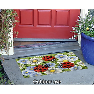 Toland Home Garden 800209 Flowers and Ladybugs Spring Door Mat 18x30 Inch Summer Outdoor Doormat for Entryway Indoor Entrance