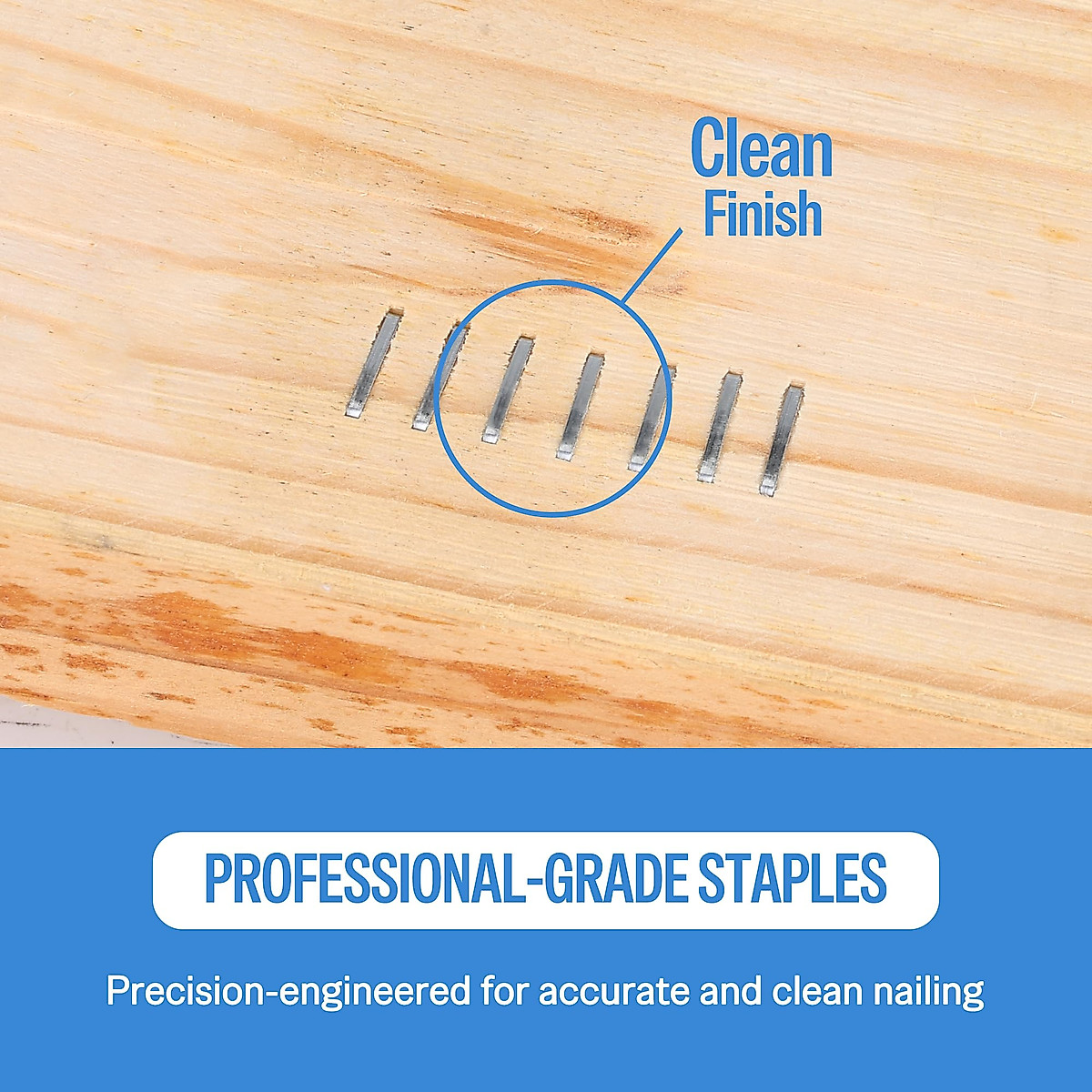 meite 20 Gauge 1/2-Inch (12.3mm) Crown 1/4-Inch Length Upholstery Staples for Staple Gun, Fine Wire Galvanized Staples for Carpet, Work Box, Cable, Shed (5,000 Pieces)