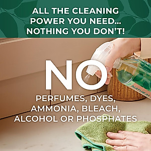 PathoPure Natural All-Purpose Cleaner Concentrate - Unscented, Non-Toxic for Cleaning Kitchen, Bathroom, Glass, Floor, Carpet & Upholstery Stains - 1 Gallon (Makes 64 Bottles)