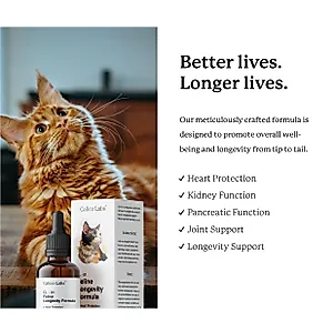 Calico Labs - Veterinarian Approved - Complete Feline Longevity Support. Supports Heart, Kidney, Joint, & More (60 Servings)