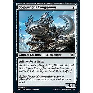 Magic: the Gathering - Sojourner's Companion (235) - Modern Horizons 2