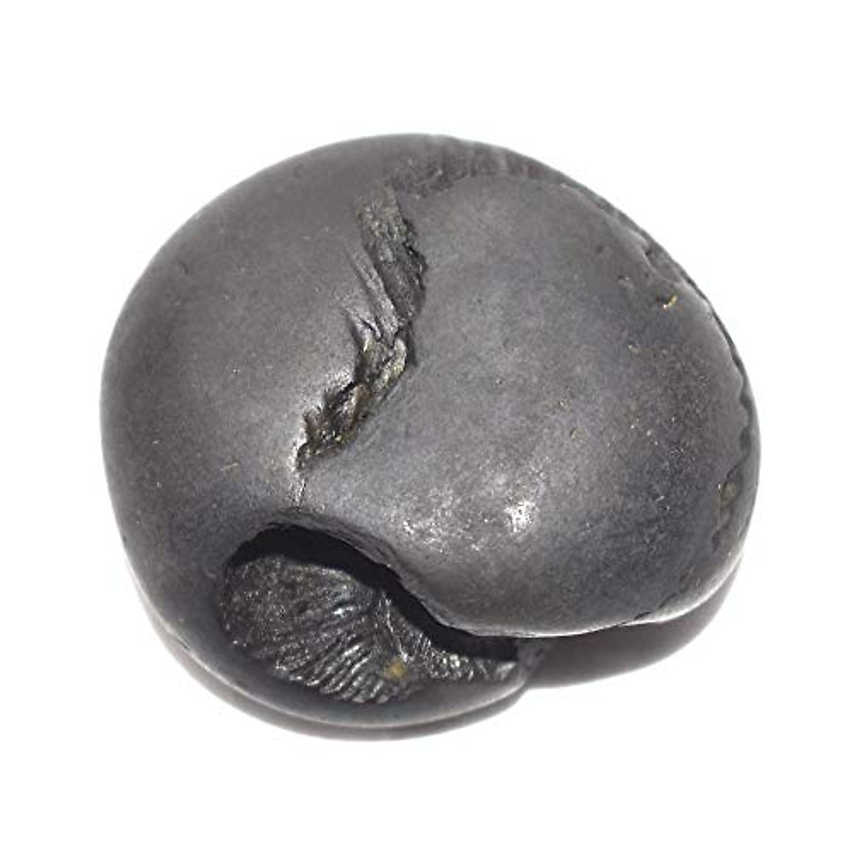 Rudrakshguru Laxmi Narasimha Shaligram