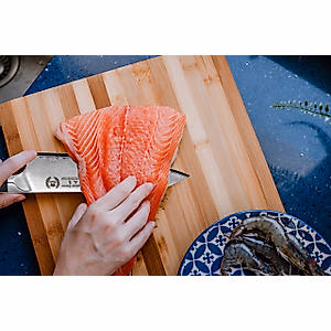 Regalia Kiritsuke Chef Knife: Professional Japanese 8.5 Inch AUS10 Premium High Carbon 67 Layer Damascus Steel Chef’s knives w/G-10 Handle Knives