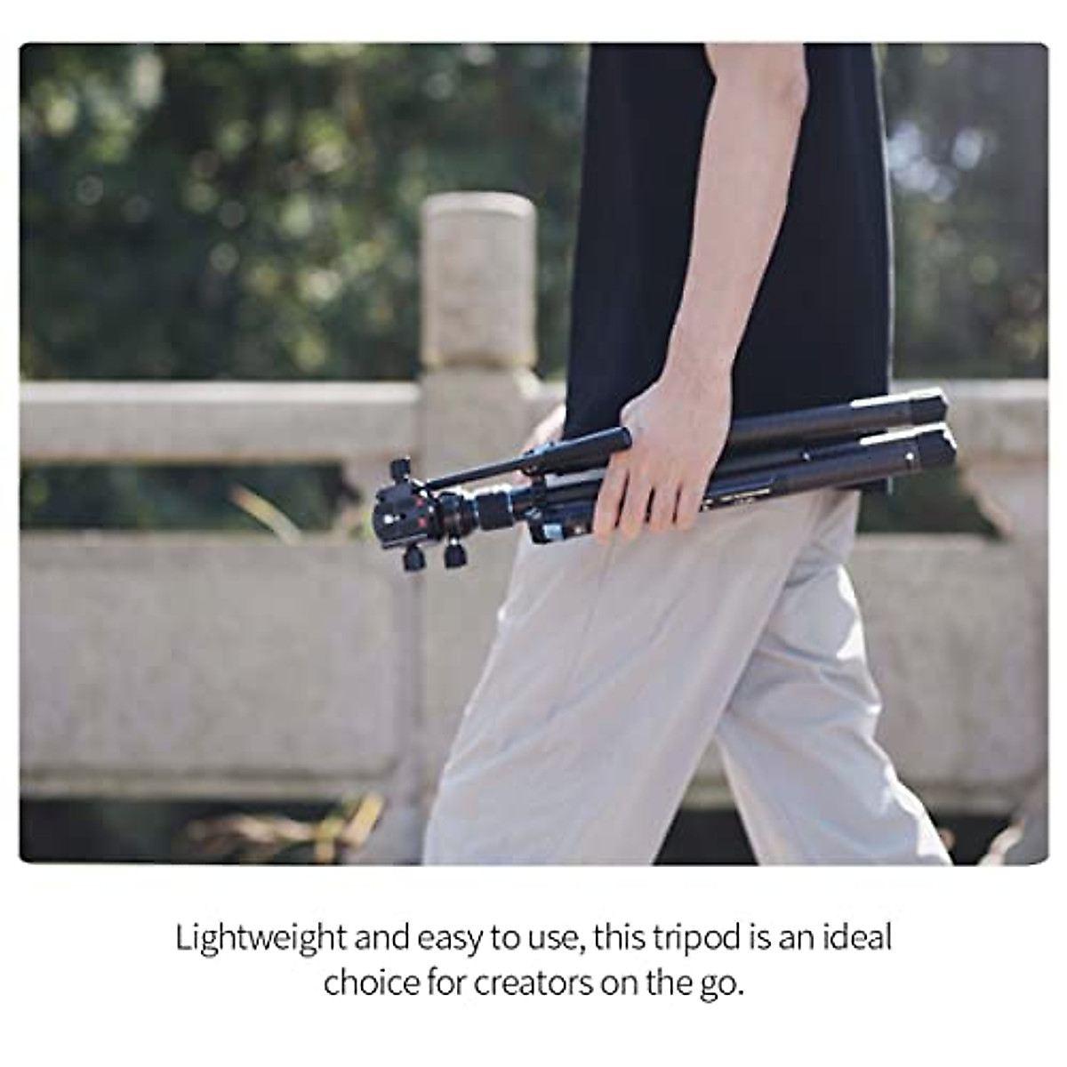 SIRUI Carbon Fiber Tripod Lightweight 2lbs with Panoramic Video Head, 59.8” Compact Camera Tripod Quick Release Leg Setup, Reversible Center Column, Reverse Folding Legs, Max Load 11lbs - Traveler X